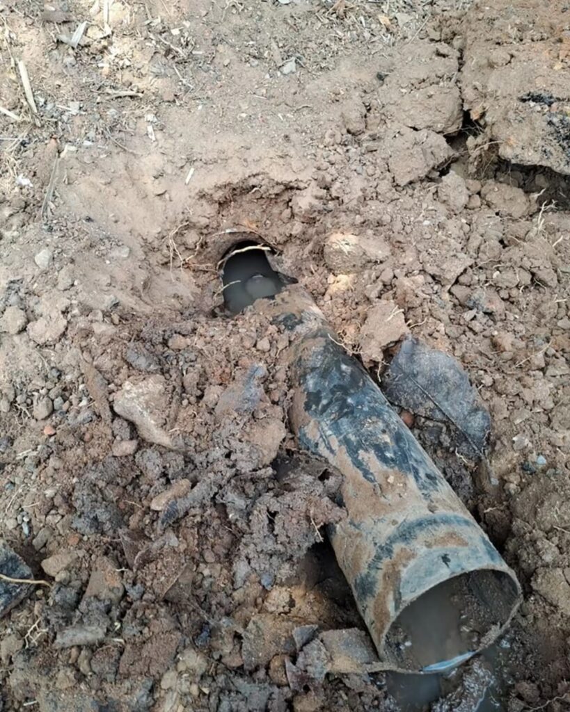 Rescuers Hear Cries from a Sewer Pipe — Their Discovery Will Leave You ...