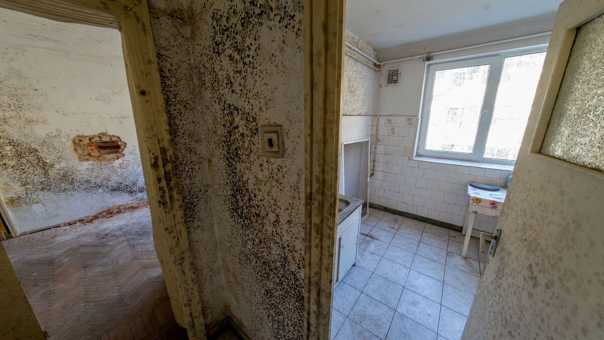 After Squatters Were Evicted, 80-Year-Old Hit with a Jaw-Dropping € ...